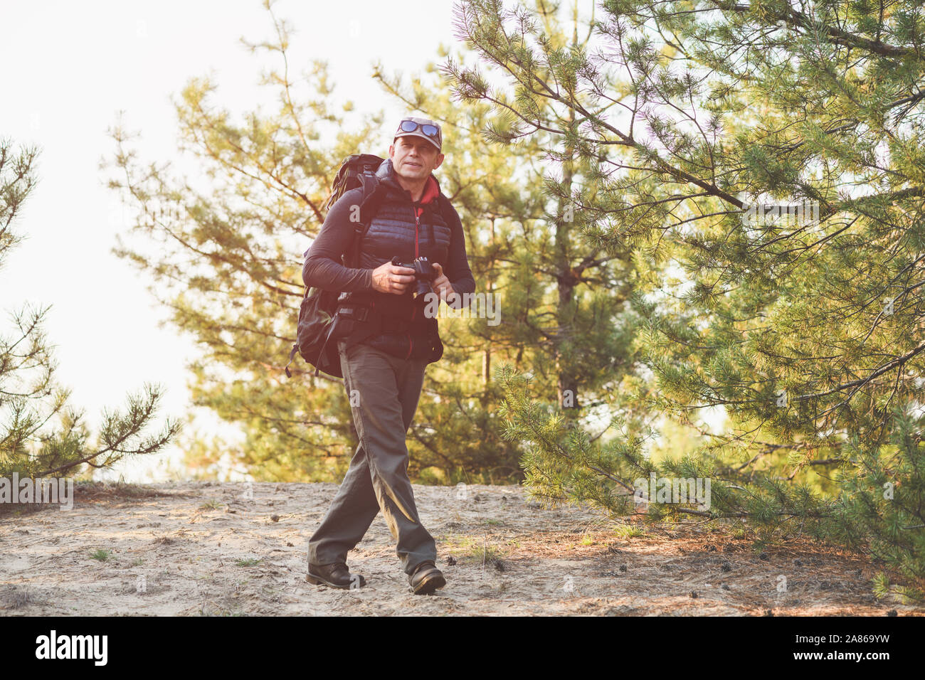 Positive old man photographing landscape in forest. Elderly man in ...