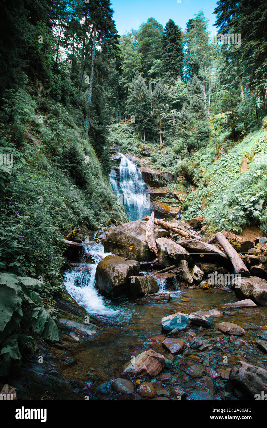 Park of waterfalls Mendeliha. Forest river and waterfall. Sochi. Rosa ...
