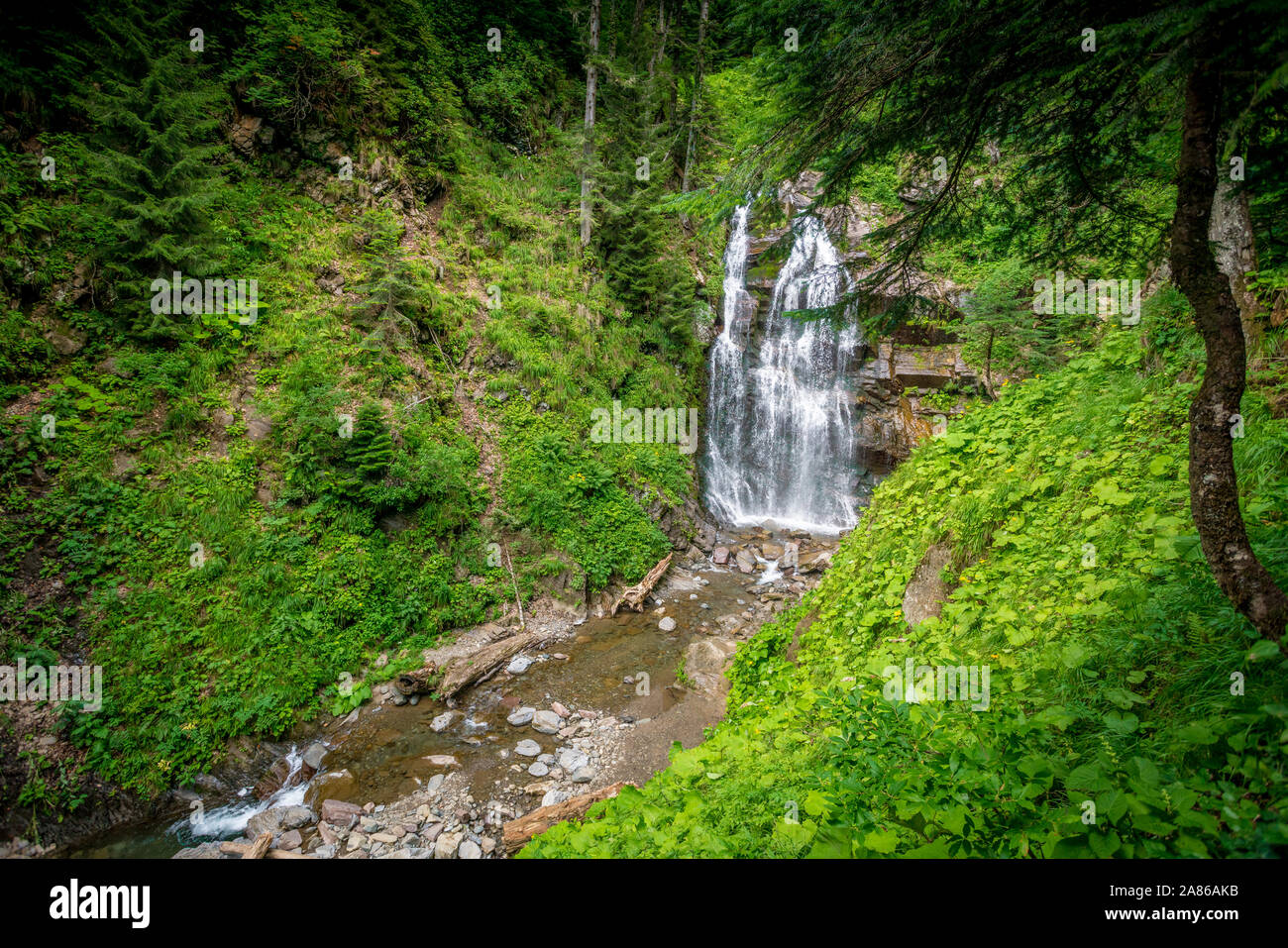 Park of waterfalls Mendeliha. Forest river and waterfall. Sochi. Rosa ...