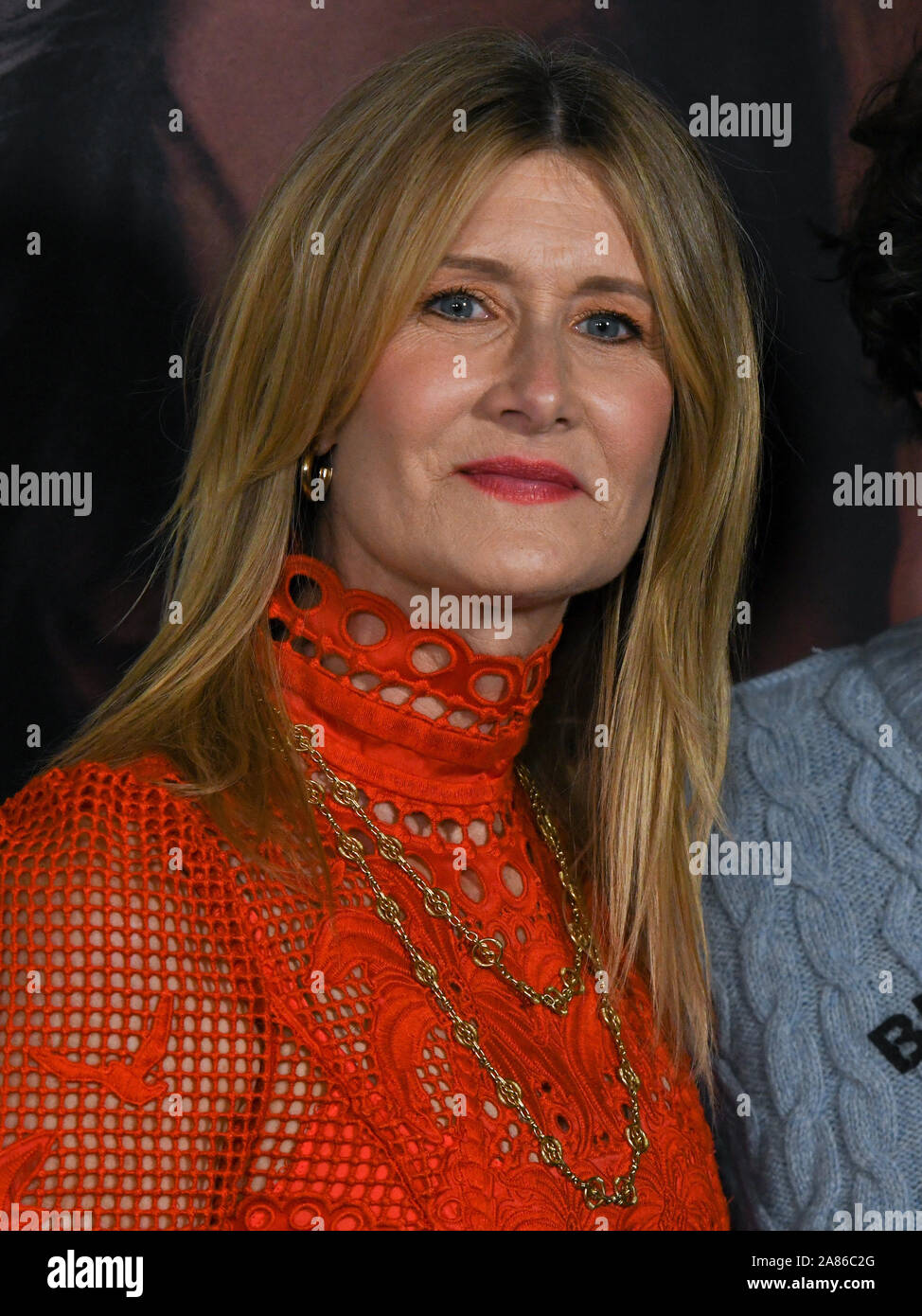 05 November 2019 - Los Angeles, California - Laura Dern. Netflix's ...