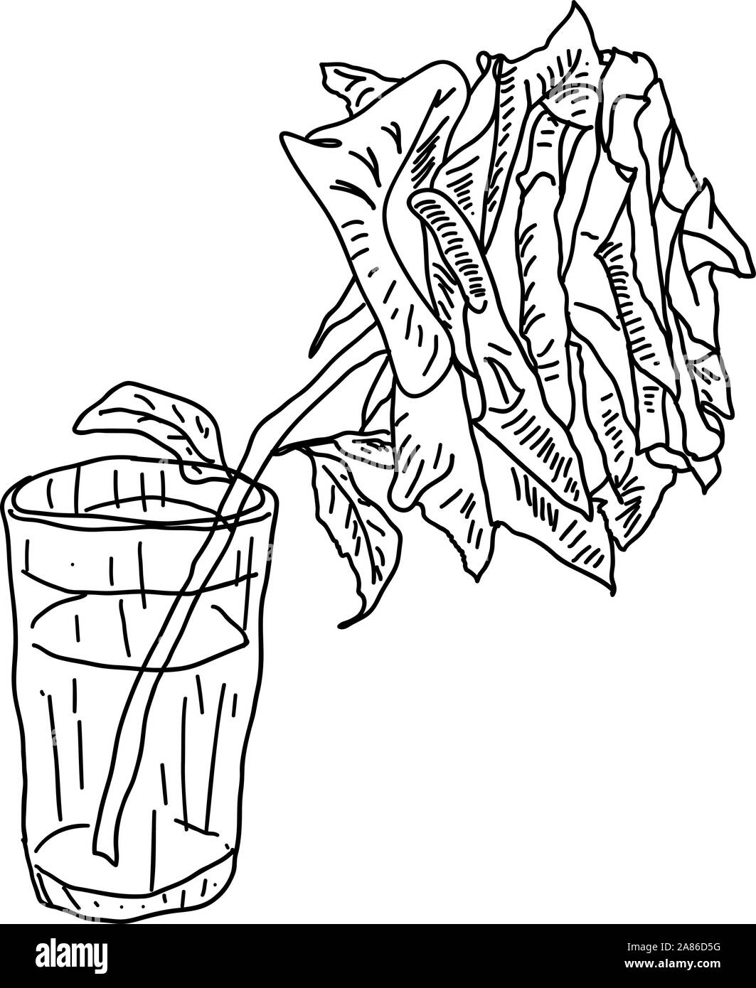 Beautiful sketch of a rose flower in a glass on a white background ...