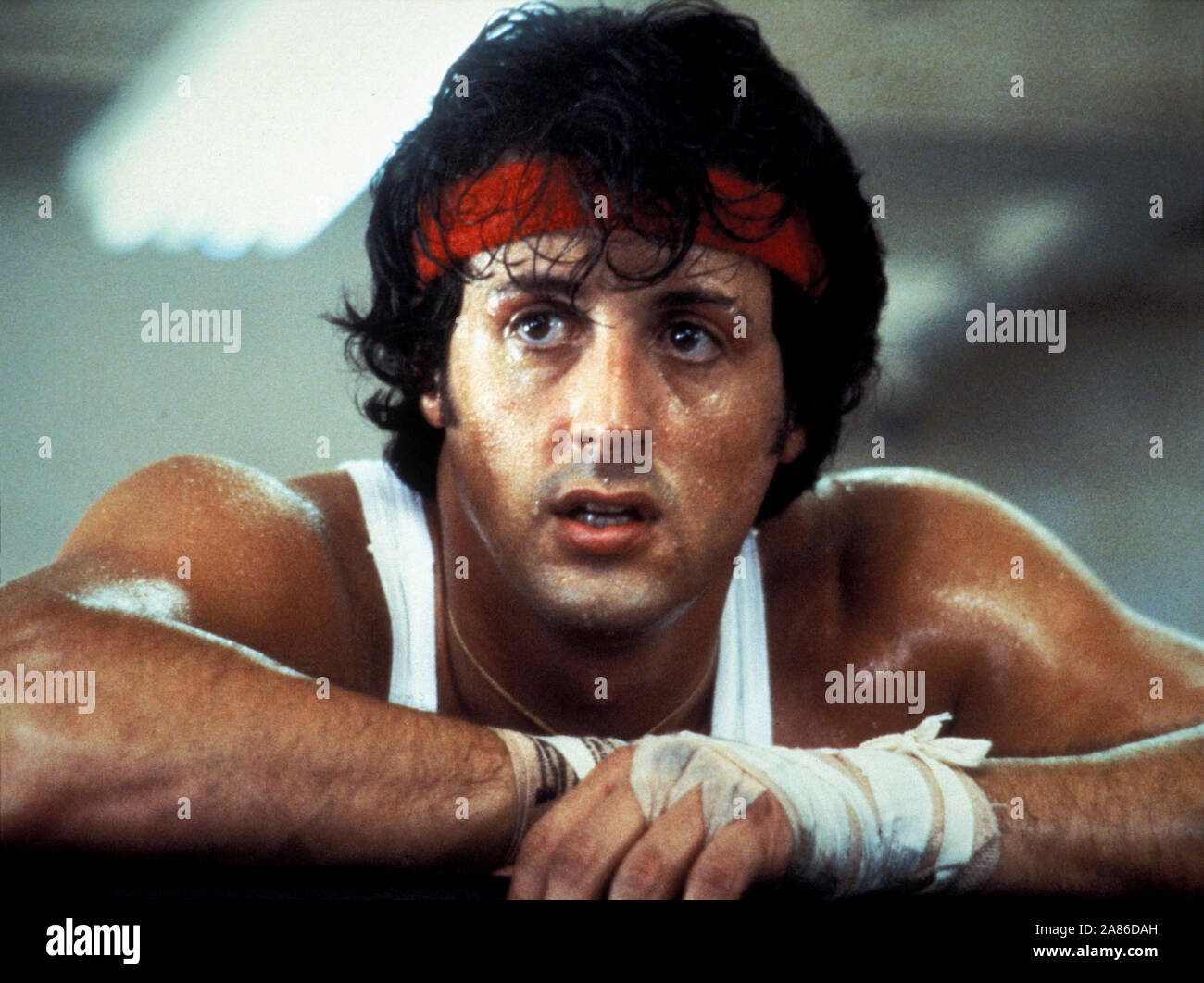 Sylvester Stallone Rocky High Resolution Stock Photography and Images ...