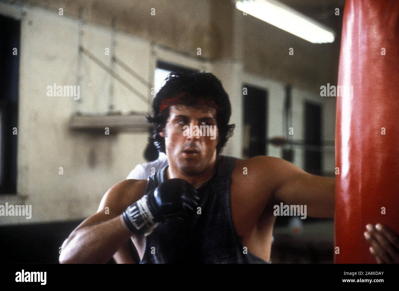 Rocky Movie Training High Resolution Stock Photography and Images - Alamy