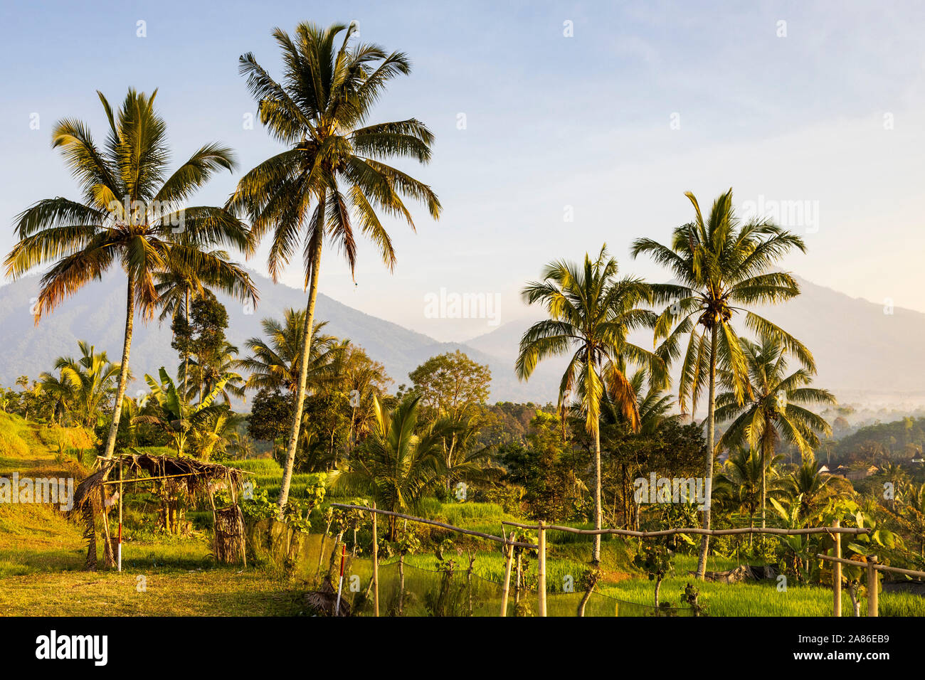 Volcanoes in indonesia hi-res stock photography and images - Alamy