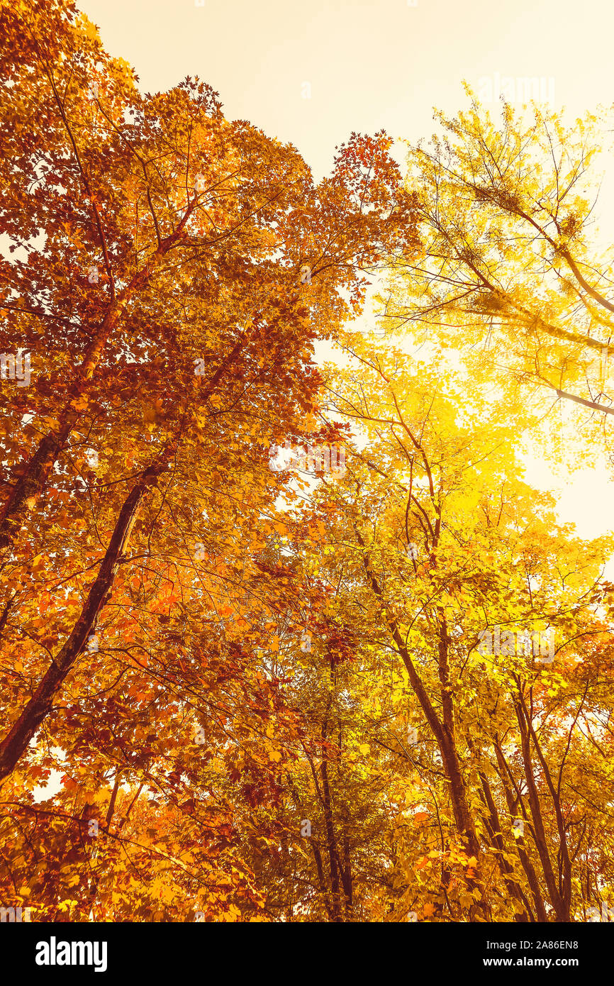 Seasonal travel, retro backdrop and rural environment concept ...