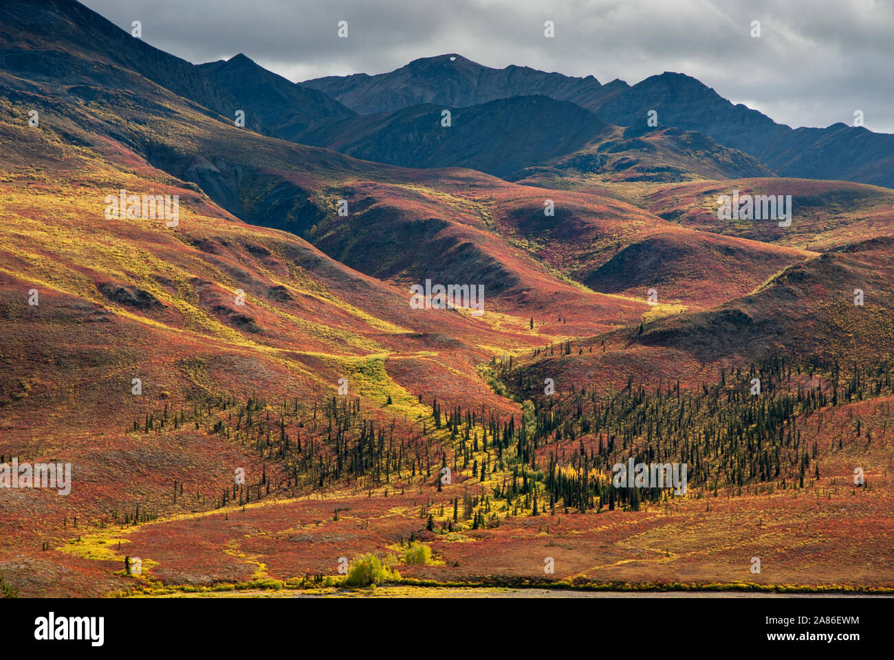 North America; Canada; Yukon Territory; Tundra; Autumn Colors Stock ...