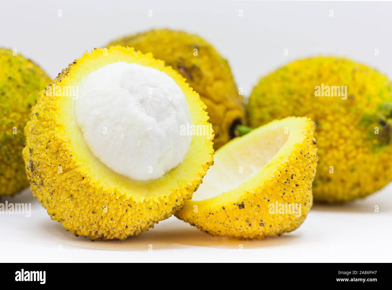 Fruit of the Garcinia madruno tree isolated in white background Stock ...