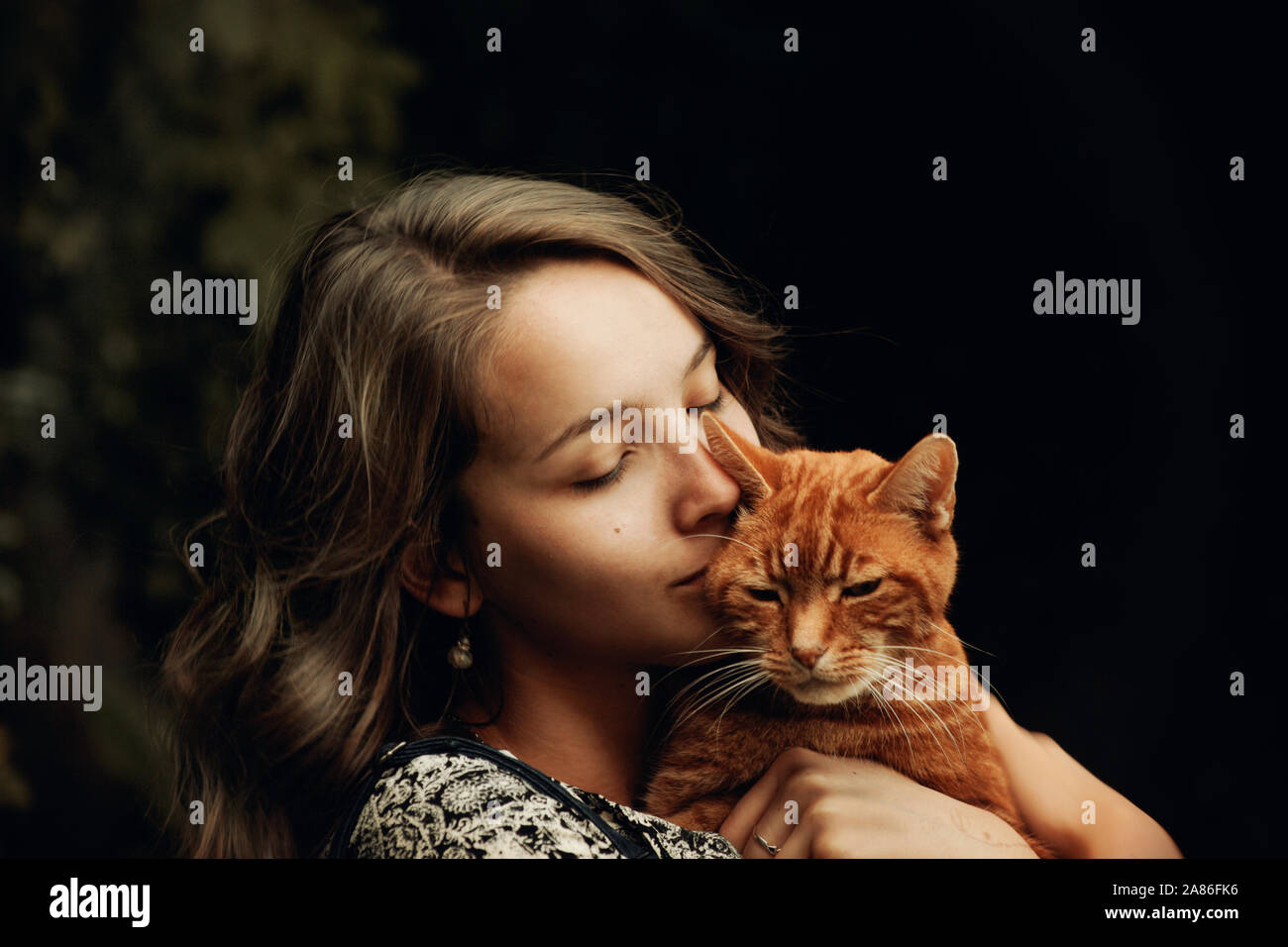 Rescue cats hi-res stock photography and images - Alamy