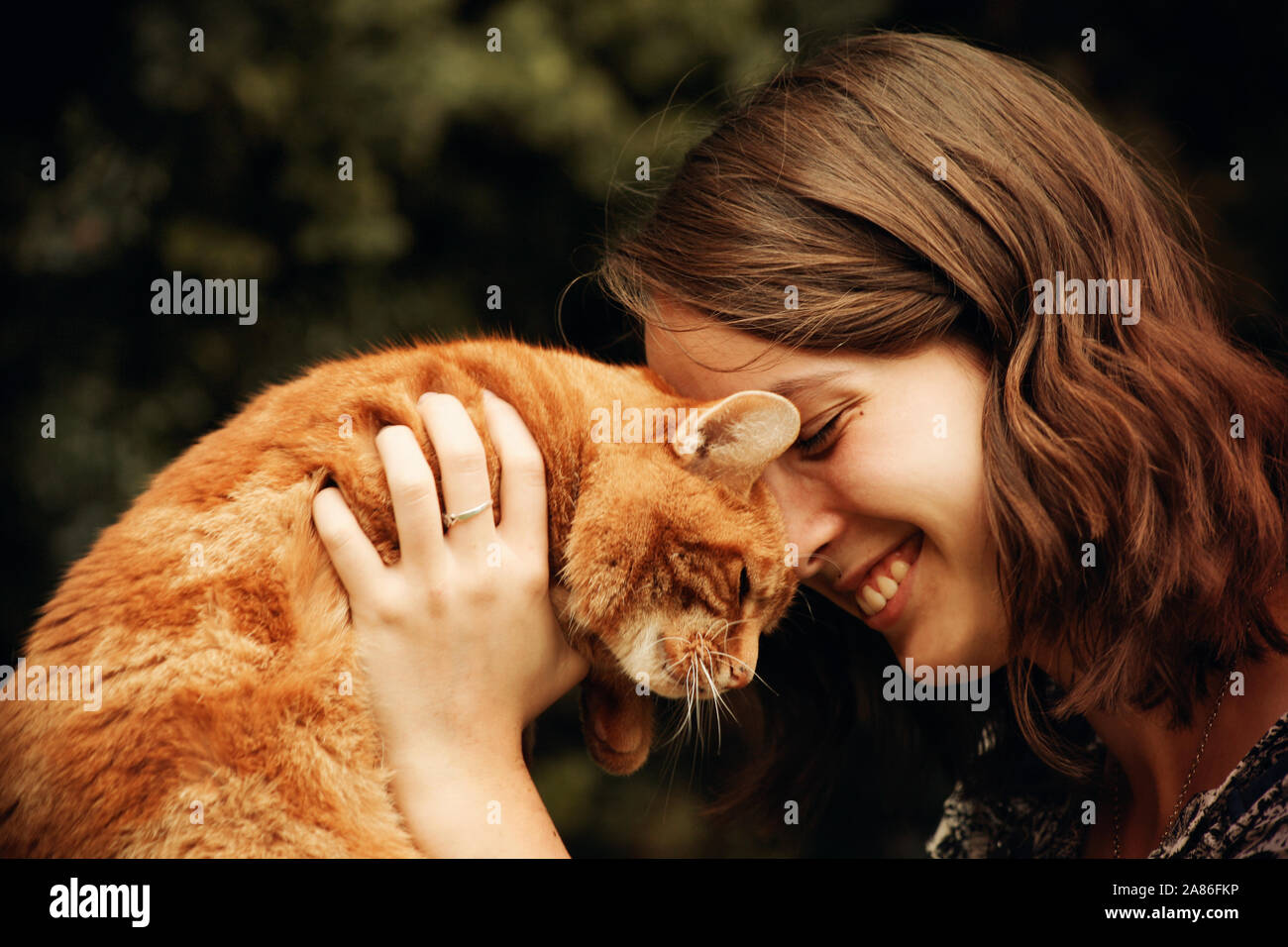 Cat passion hi-res stock photography and images - Alamy