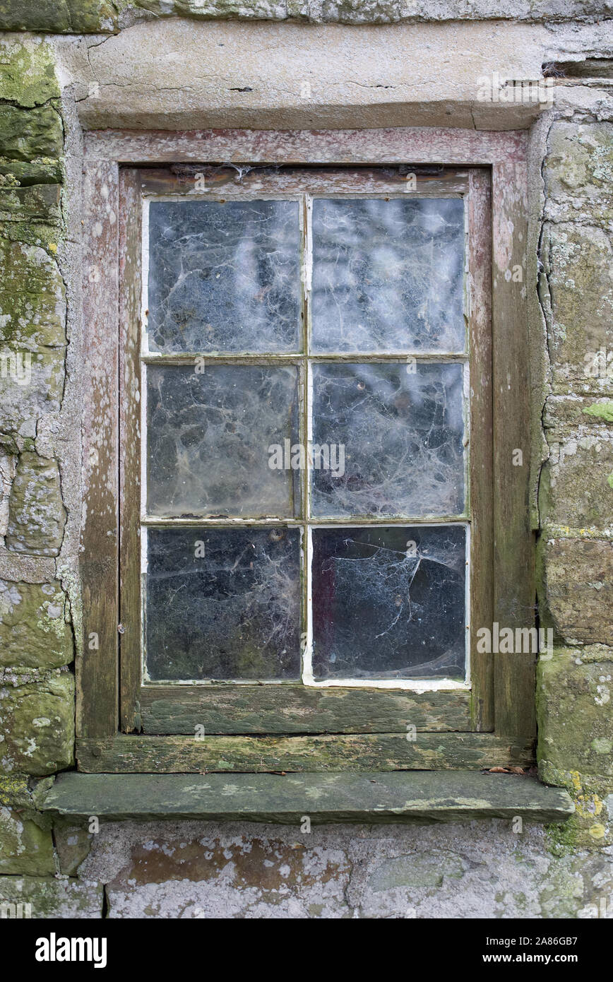 Old window with decaying wooden frame in a moss covered green stone ...