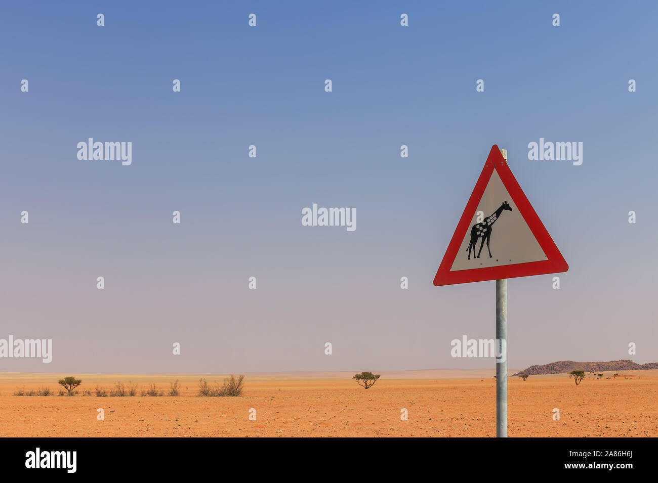 Giraffe Crossing Warning Road Sign in Namibia, Africa Stock Photo - Alamy