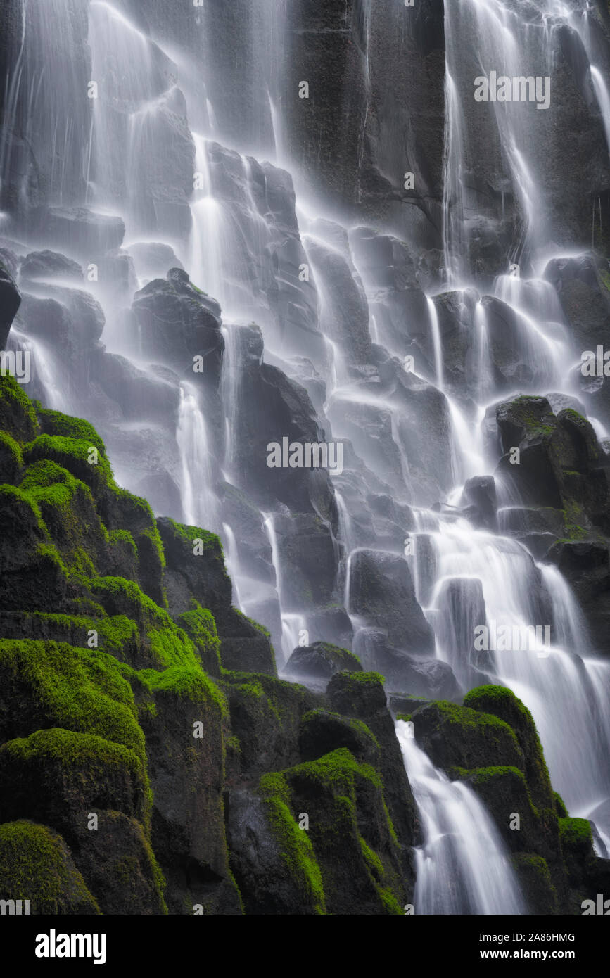 Oregon’s Ramona Falls pours over the moss covered columnar basalt in ...