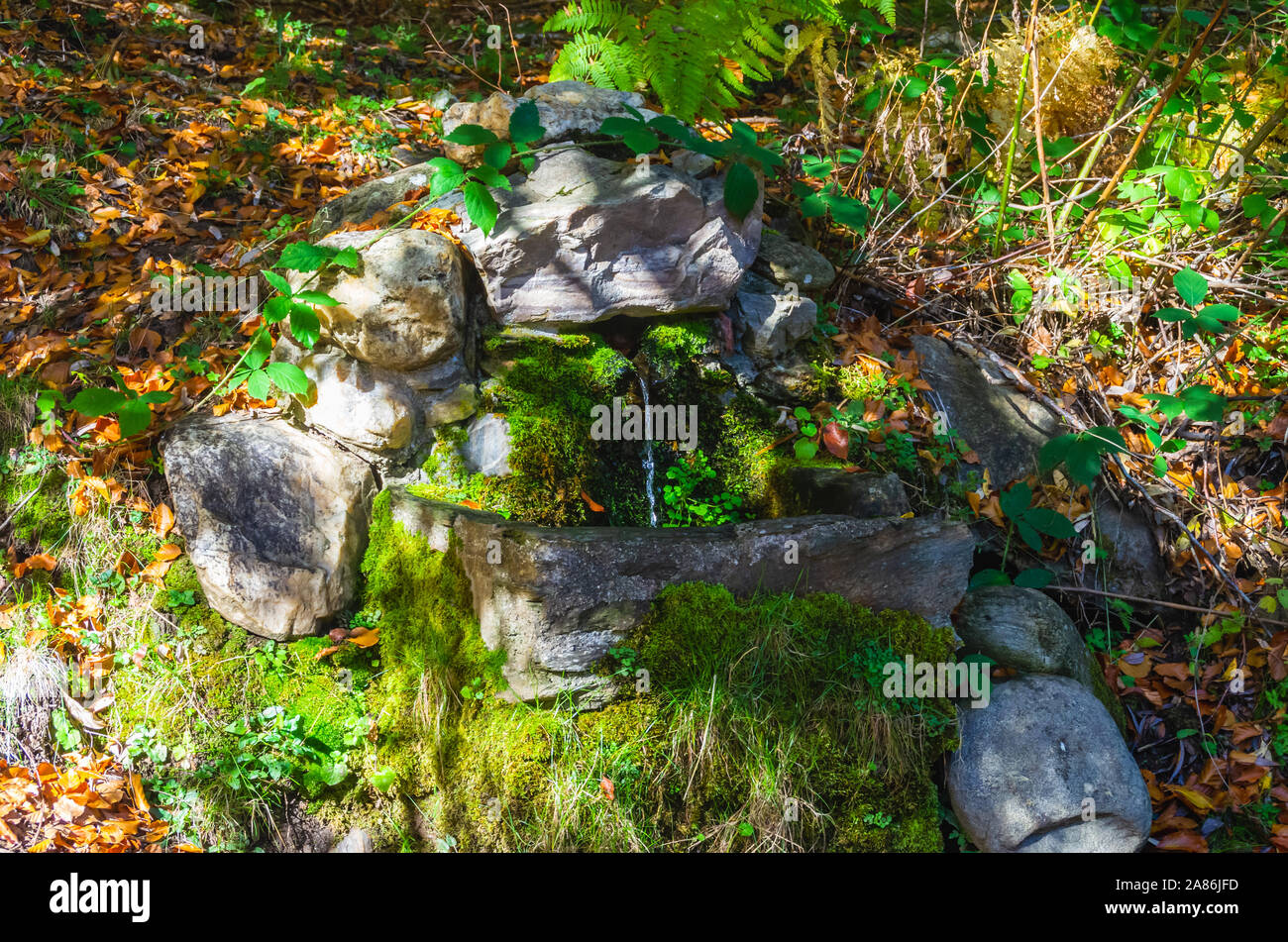 Small fountain covered with moss in the Hayedo de Montejo in early ...
