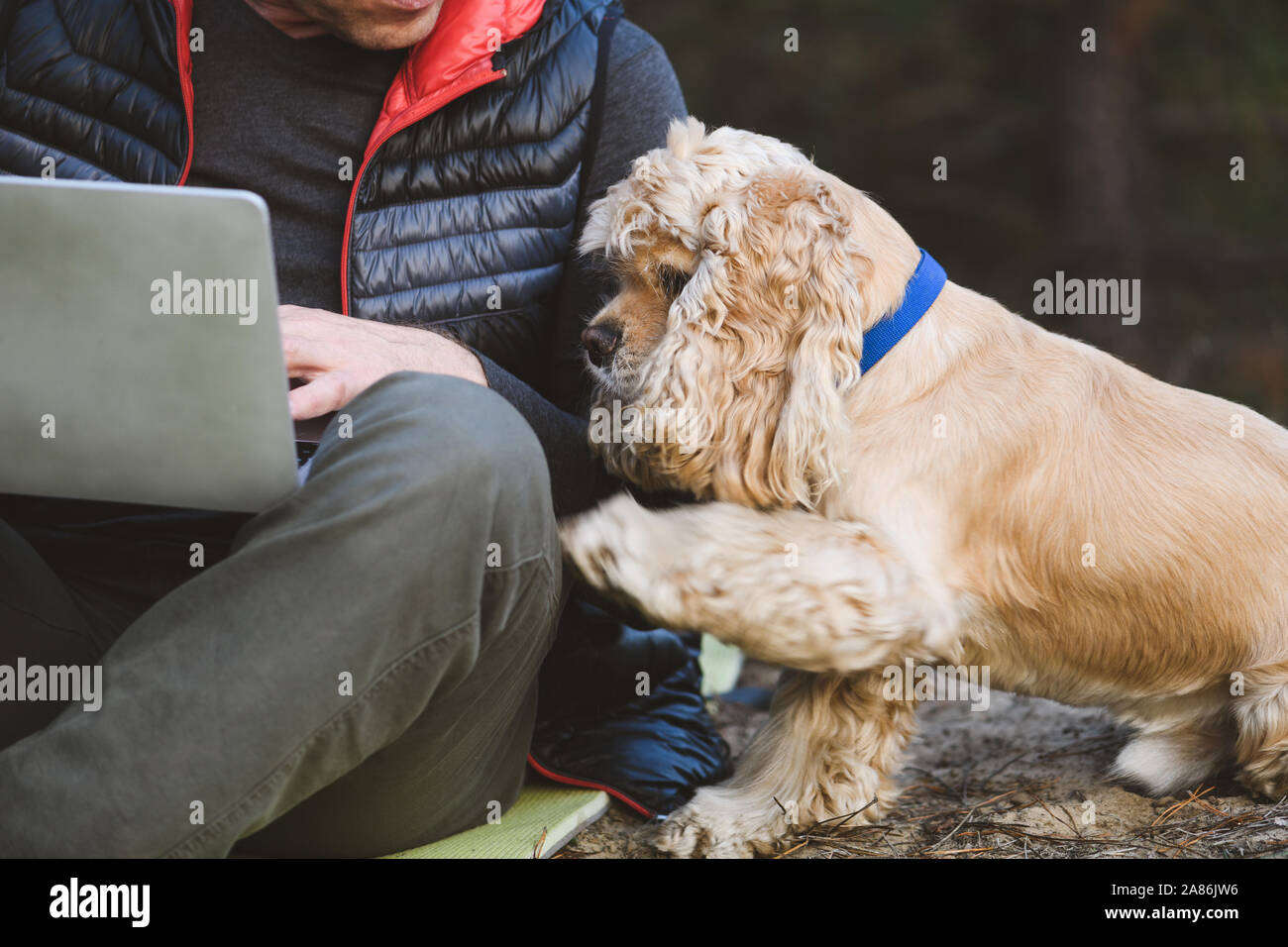 Funny dog put paw on man leg Stock Photo - Alamy
