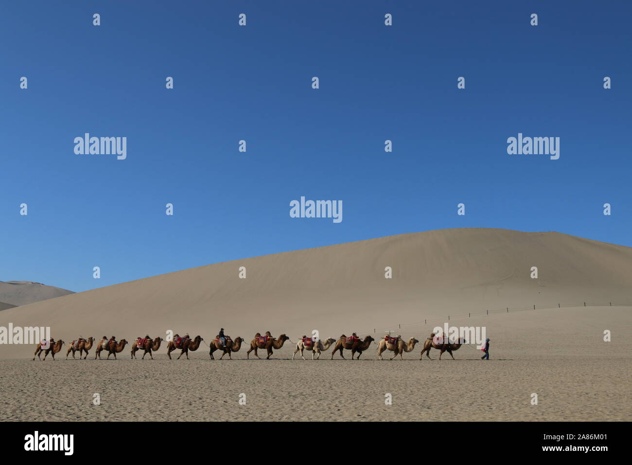 Camel caravan silk road hi-res stock photography and images - Alamy