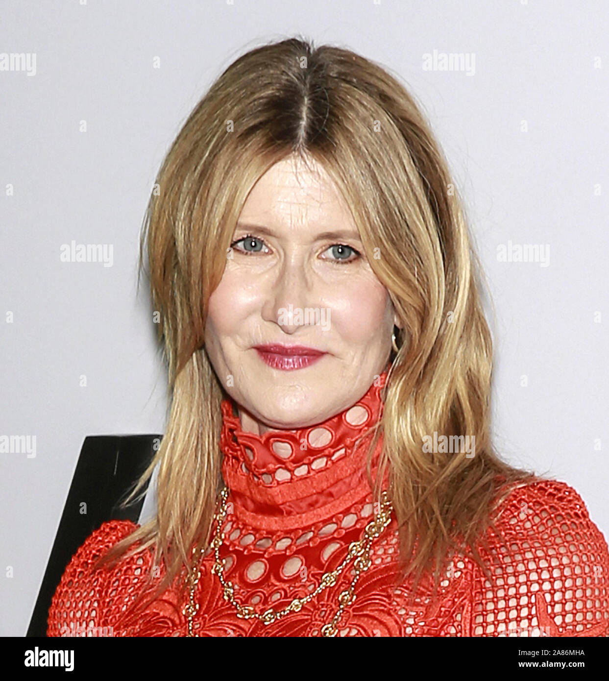 Los Angeles, CA - November 05, 2019: Laura Dern attends the Premiere of ...
