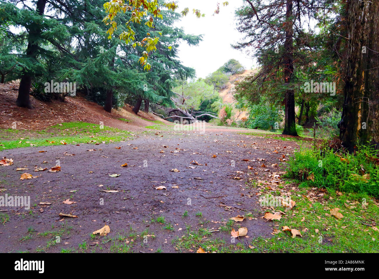 Bronson caves griffith park hi-res stock photography and images - Alamy
