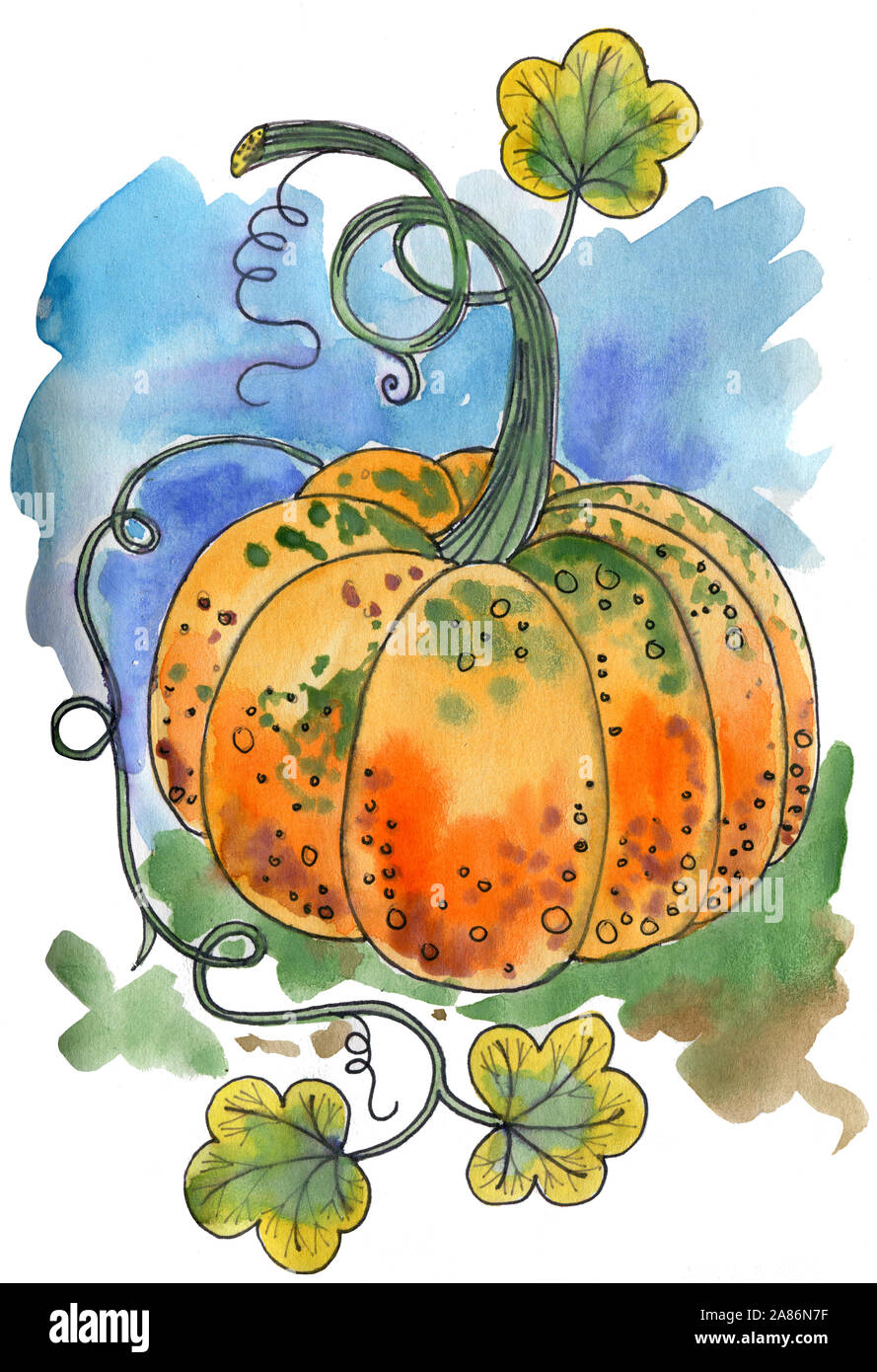 Thanksgiving Pumpkin Drawings