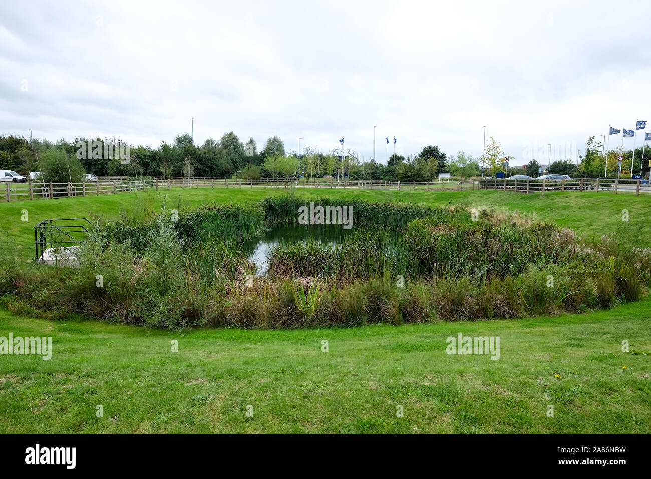 water capture pond on a housing estate Stock Photo - Alamy