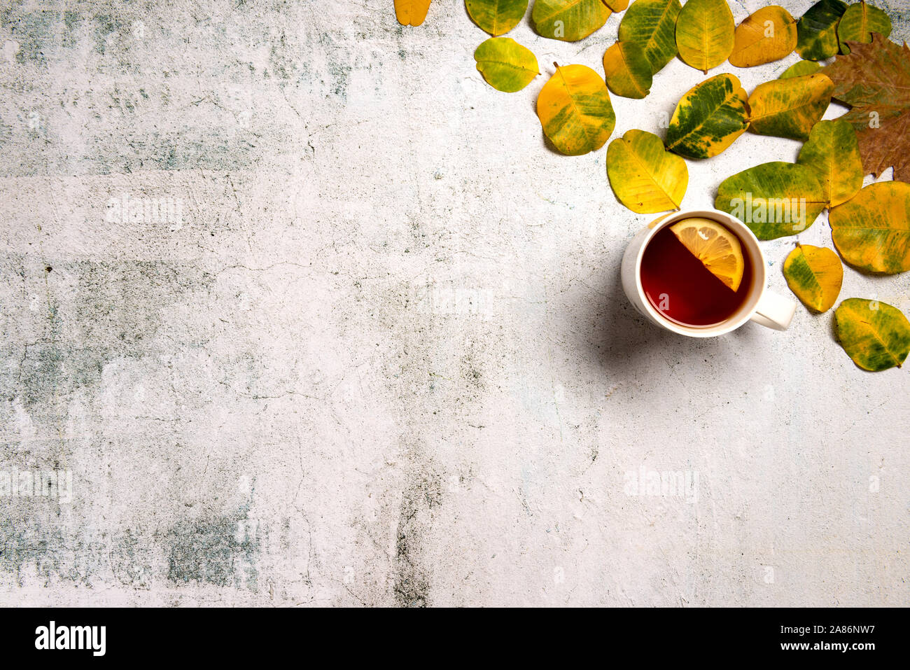 Cup of hot tea decorated by yellow autumn leaves over grey texture ...