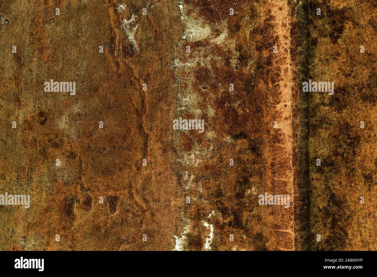 Plain texture hi-res stock photography and images - Alamy