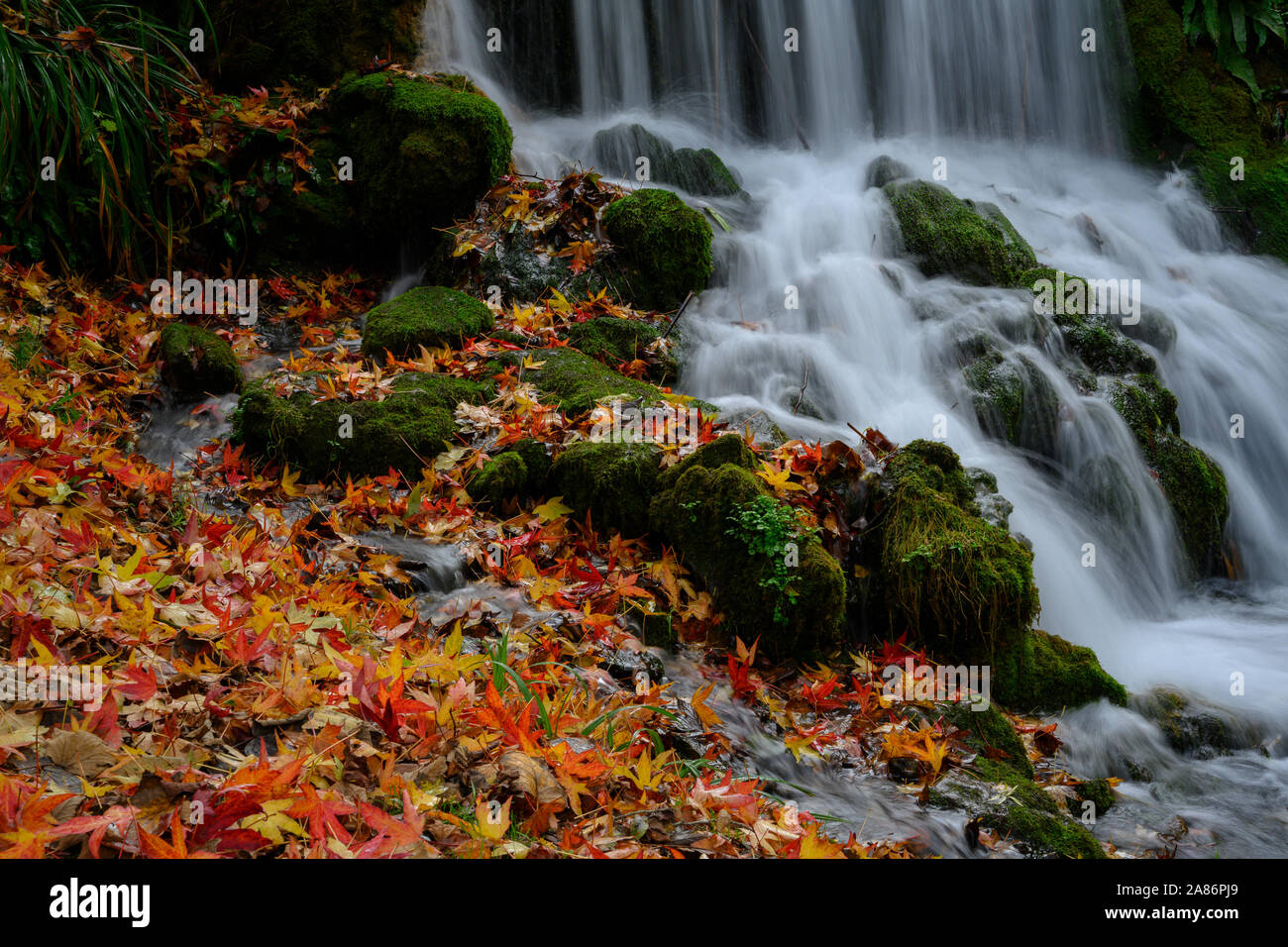 Little Bredy Dorset High Resolution Stock Photography and Images - Alamy