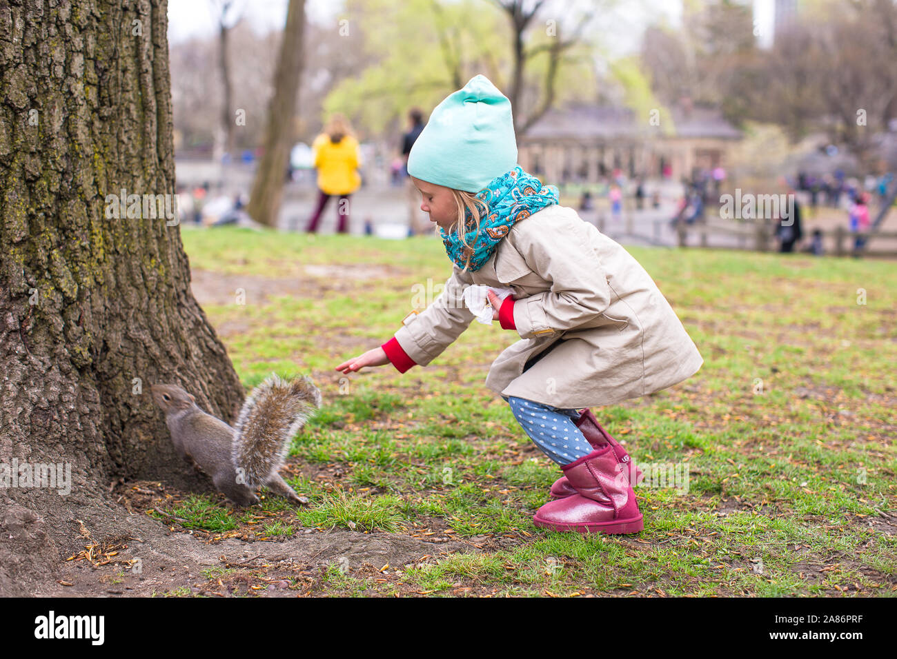 Little girl feeds a squirrel in Central park, New York Stock Photo - Alamy