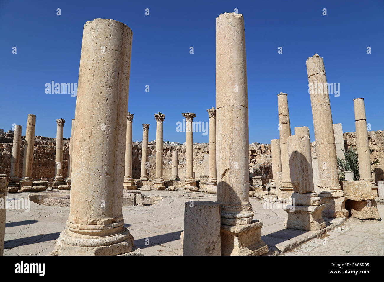 Macellum (indoor market), Jerash, Jerash Governorate, Jordan, Middle ... Macellum (indoor market), Jerash, Jerash Governorate, Jordan, Middle ...