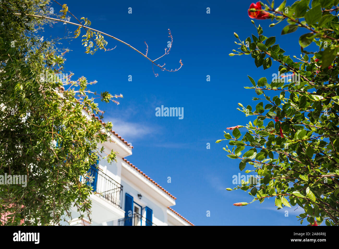 View of the house through the bushes Stock Photo - Alamy