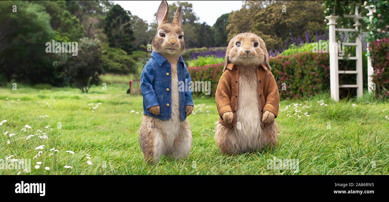 USA. A scene from the ©Columbia Pictures new movie: Peter Rabbit 2: The ...