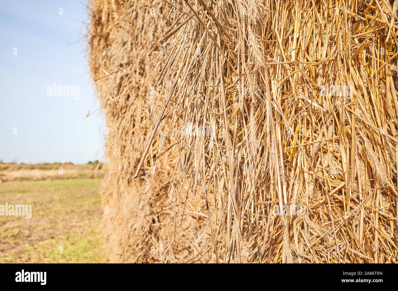 Picture haystack hi-res stock photography and images - Alamy