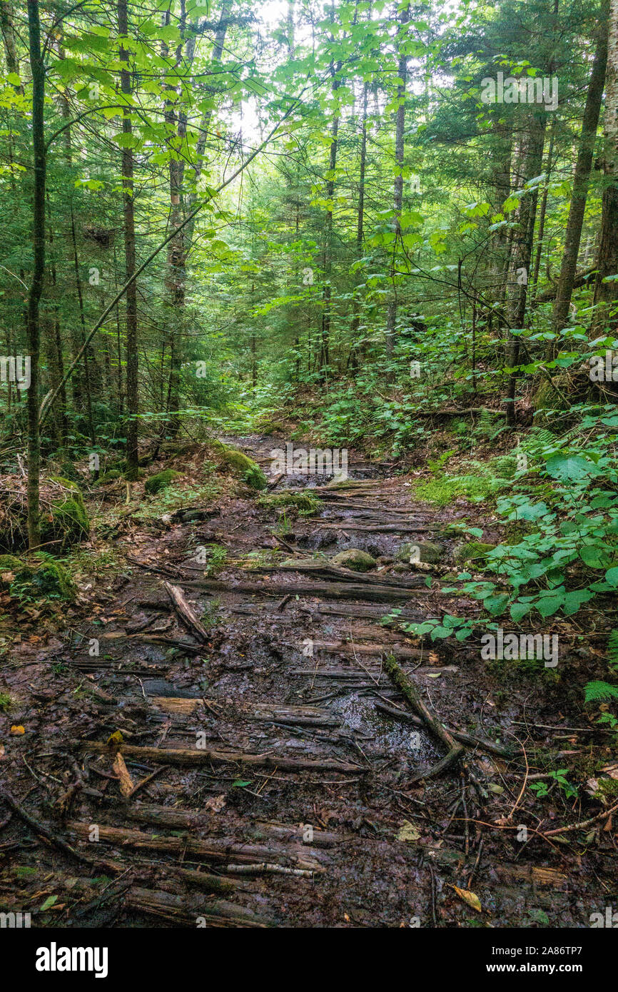 A suspension bridge crossing Upstate New York's Northville Placid Trail ...