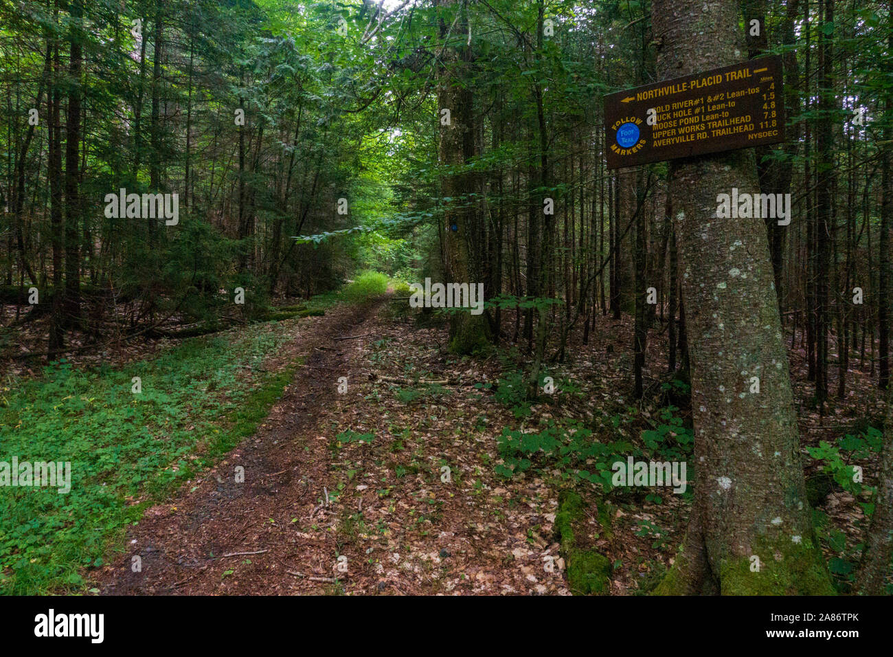 A suspension bridge crossing Upstate New York's Northville Placid Trail ...