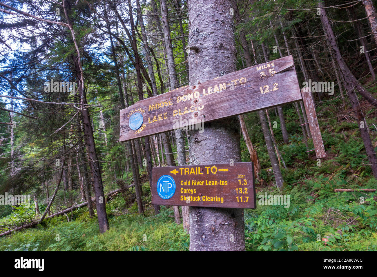 Trail sign along Upstate New York's Northville Placid Trail Stock Photo ...