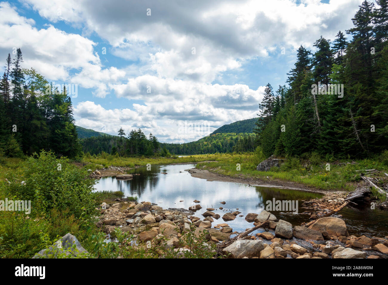 Scenery around Northville Placid Trail Stock Photo - Alamy