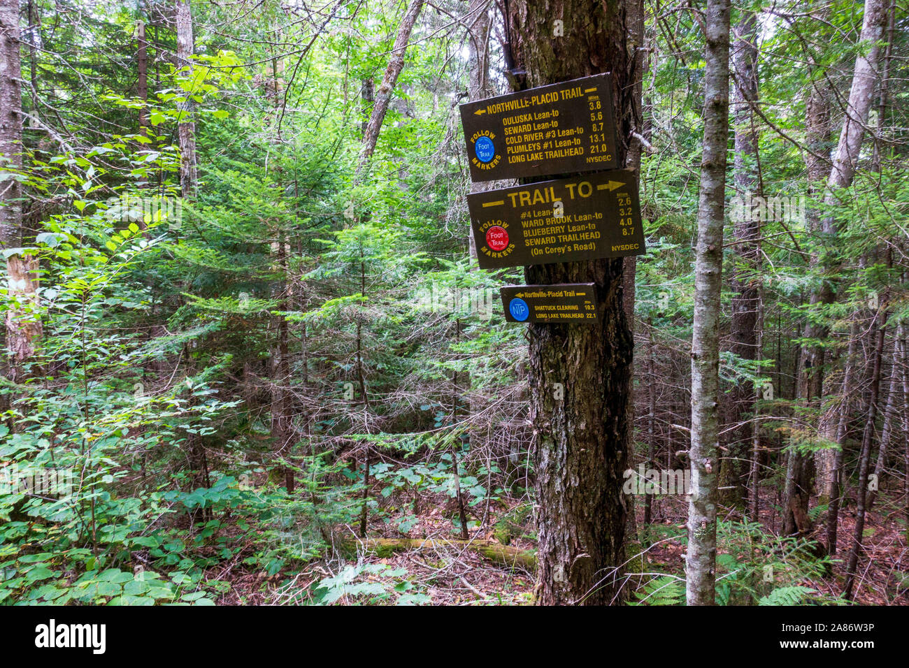 Trail sign along Upstate New York's Northville Placid Trail Stock Photo ...