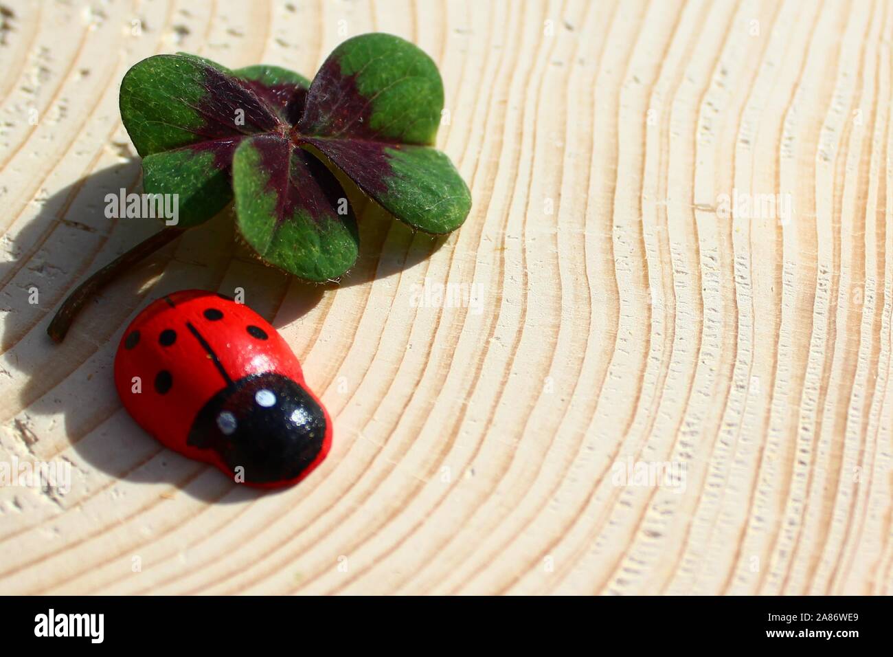 The picture shows the best of luck wishes Stock Photo - Alamy