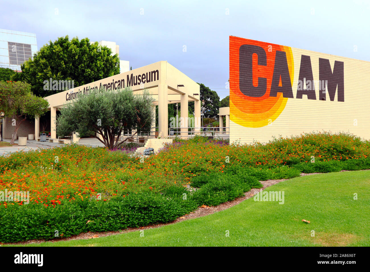 California african american museum hi-res stock photography and images ...