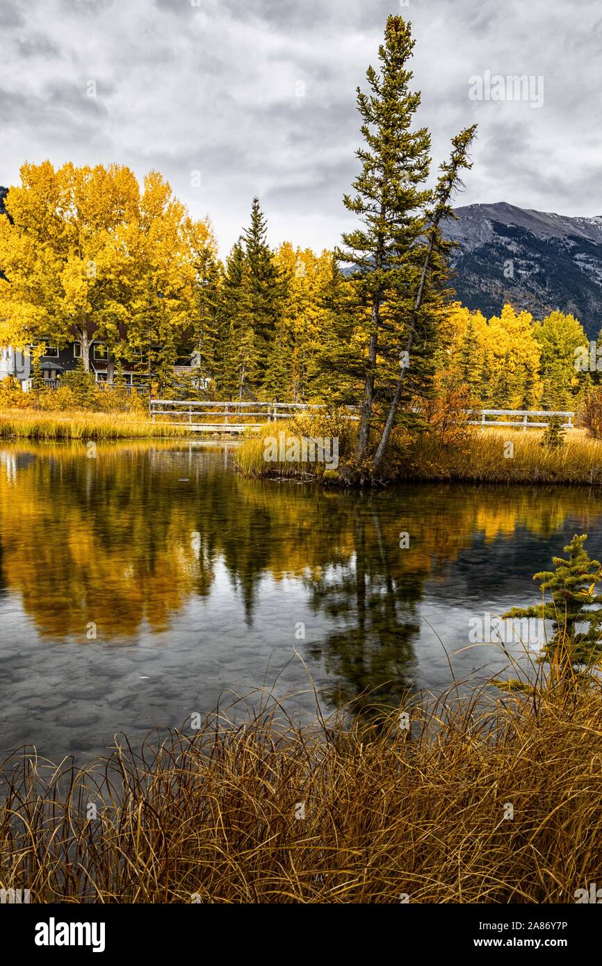 Autumn in Canmore Stock Photo - Alamy