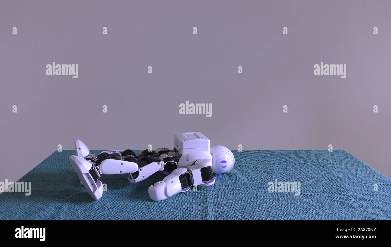 A domestic android humanoid robot succumbs to dangerous signal from ...
