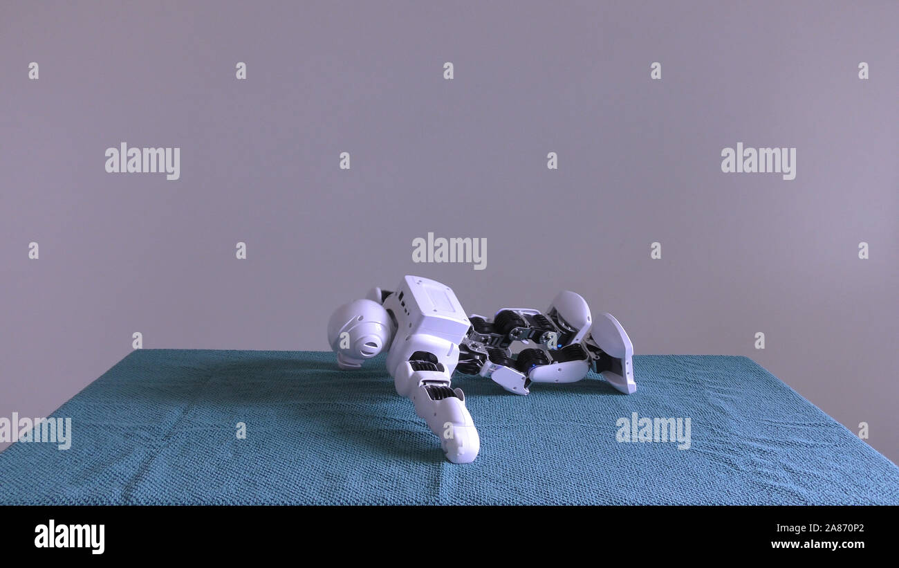 A domestic android humanoid robot succumbs to dangerous signal from ...