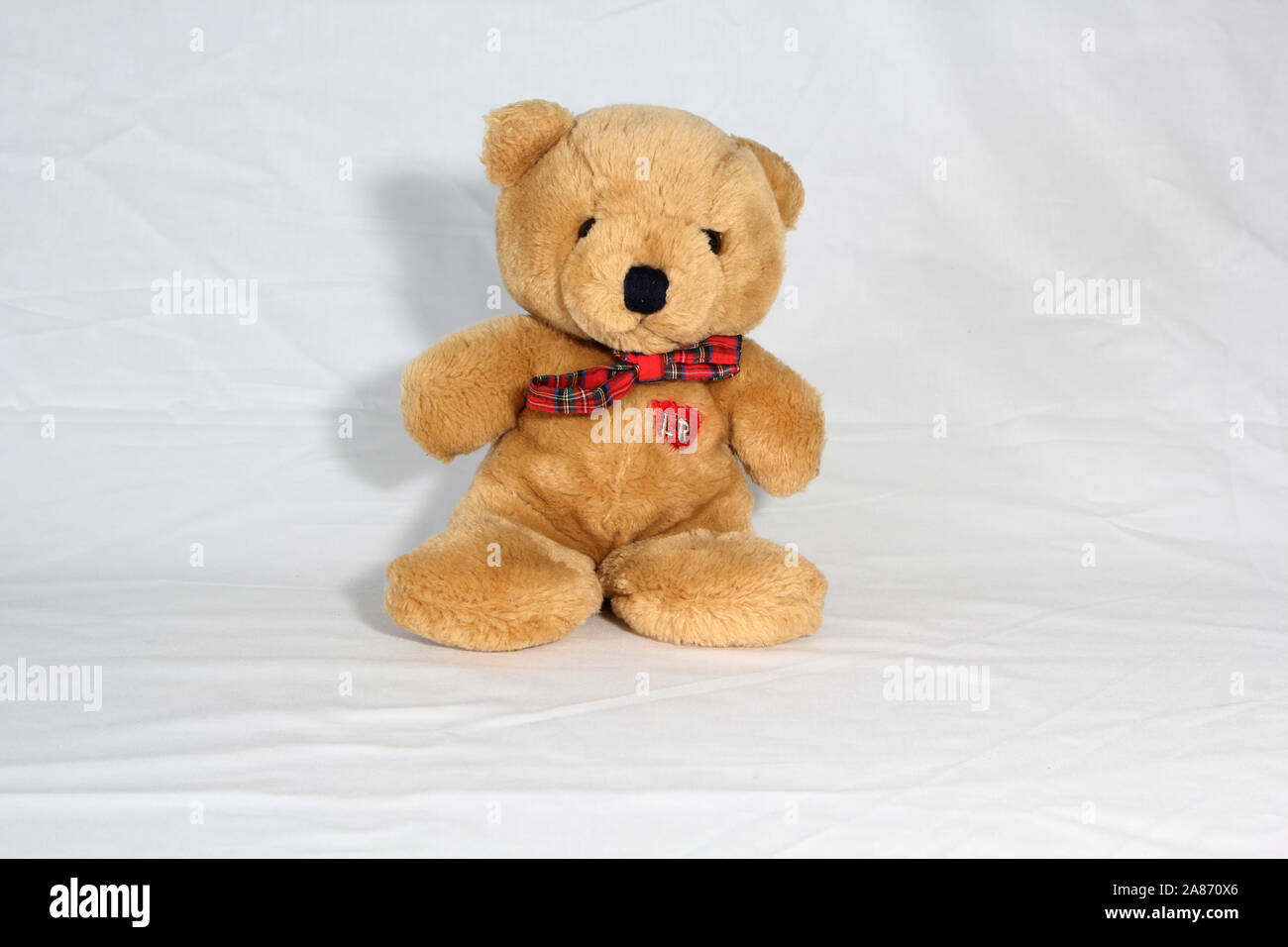 Soft cuddly teddy bear hi-res stock photography and images - Alamy