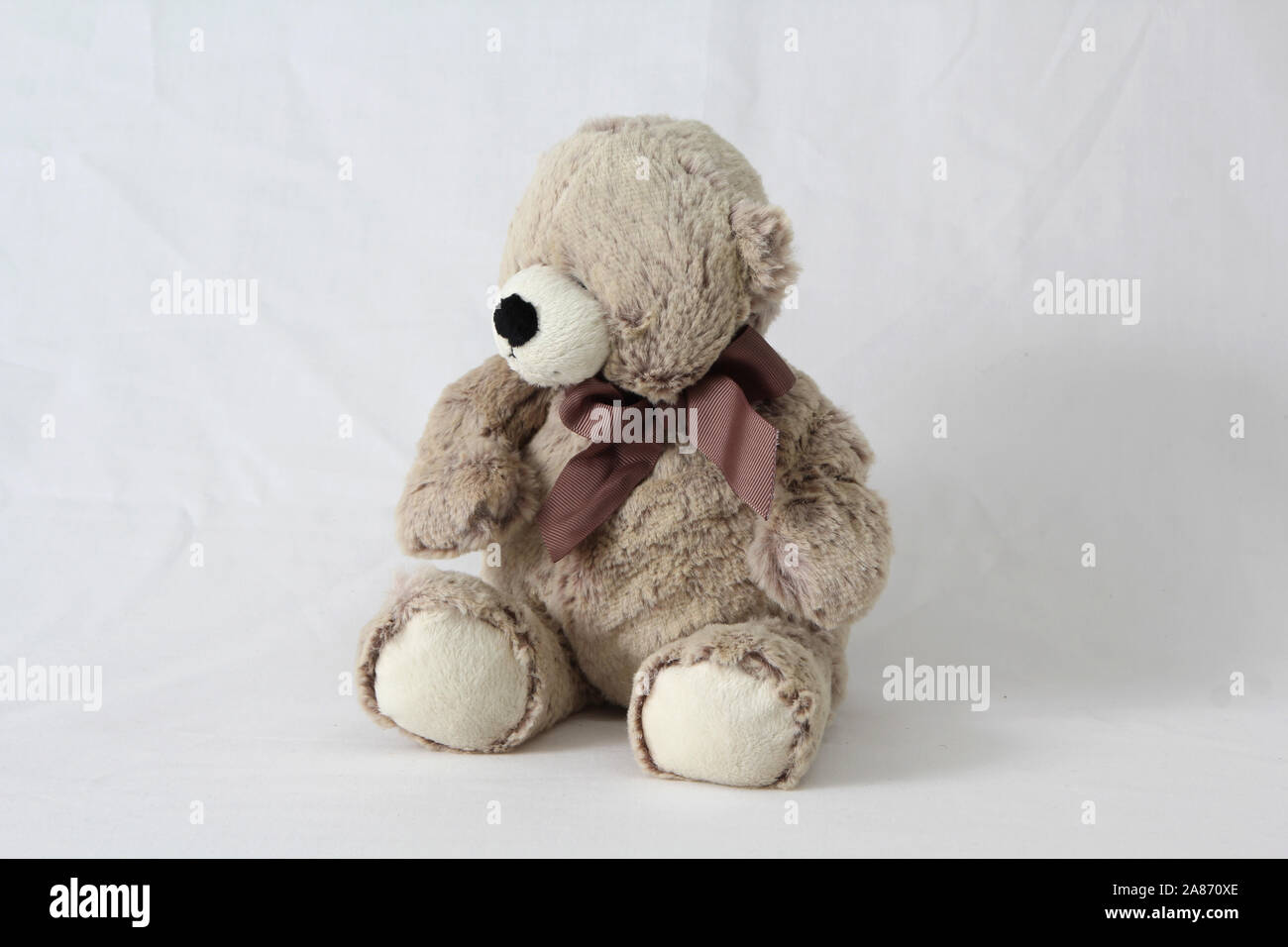 Stuffed teddy hi-res stock photography and images - Alamy