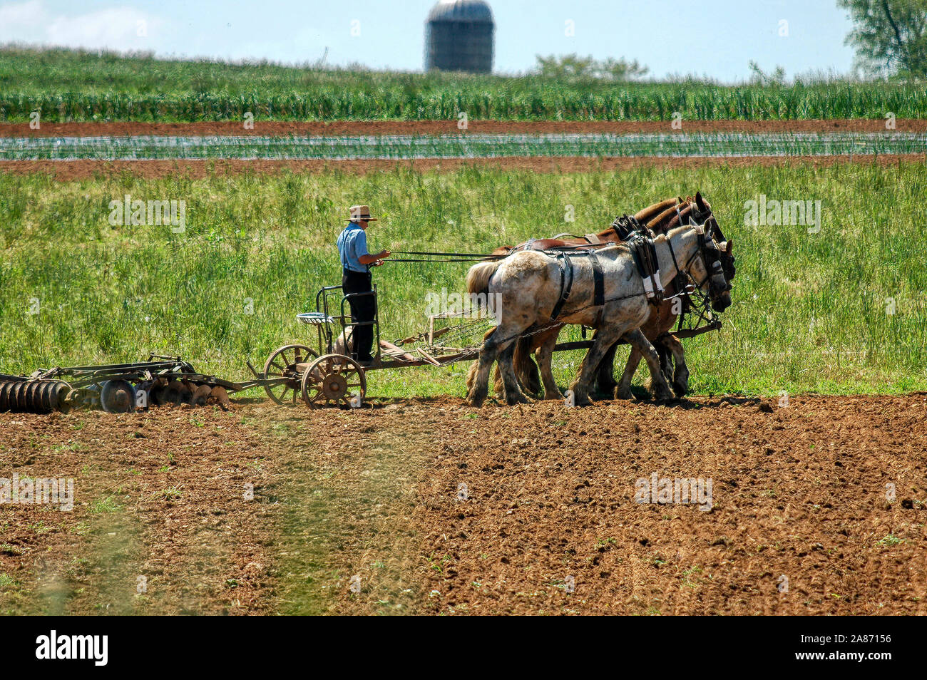 Amish Boy Plowing the Field with 5 Horses Pulling Plow to Turn Over ...