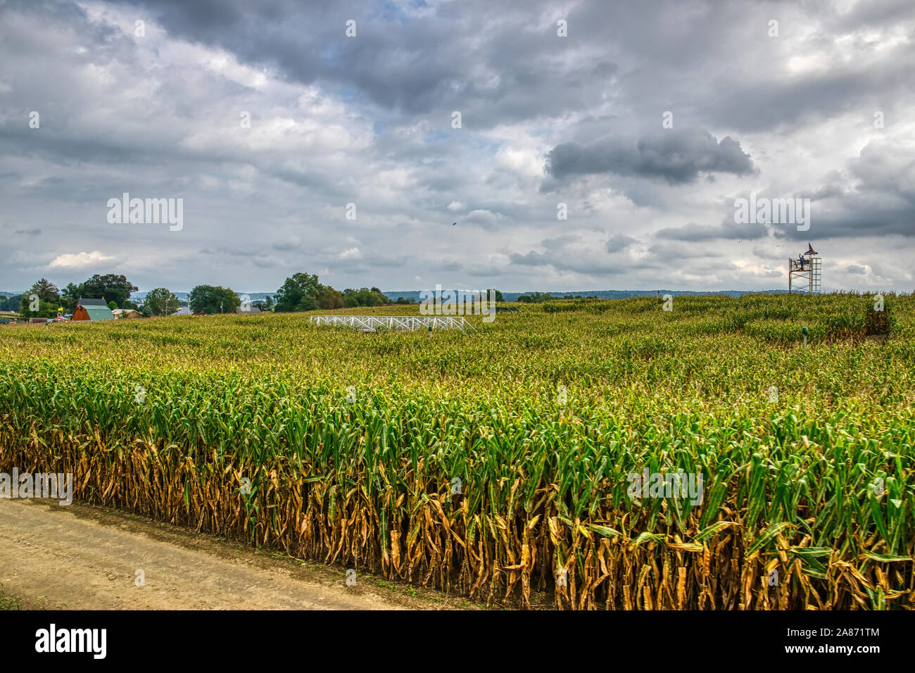 Top view green garden maze hi-res stock photography and images - Alamy