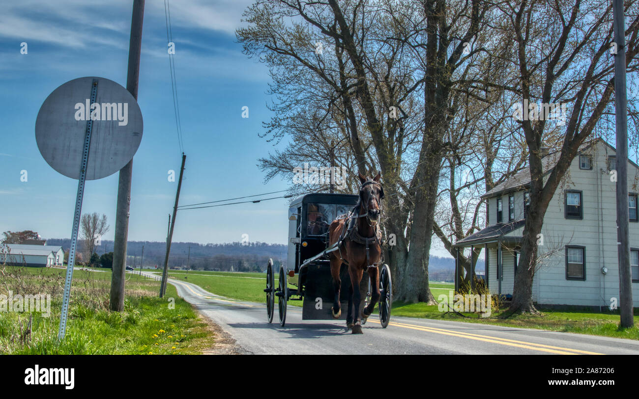 Amish Horse and Buggy Trotting to Country Store on a Summer Day Stock ...