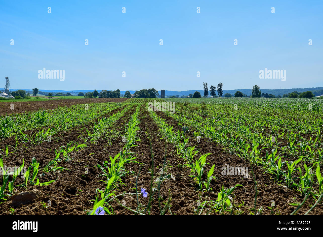 Monoculture farming aerial hi-res stock photography and images - Alamy