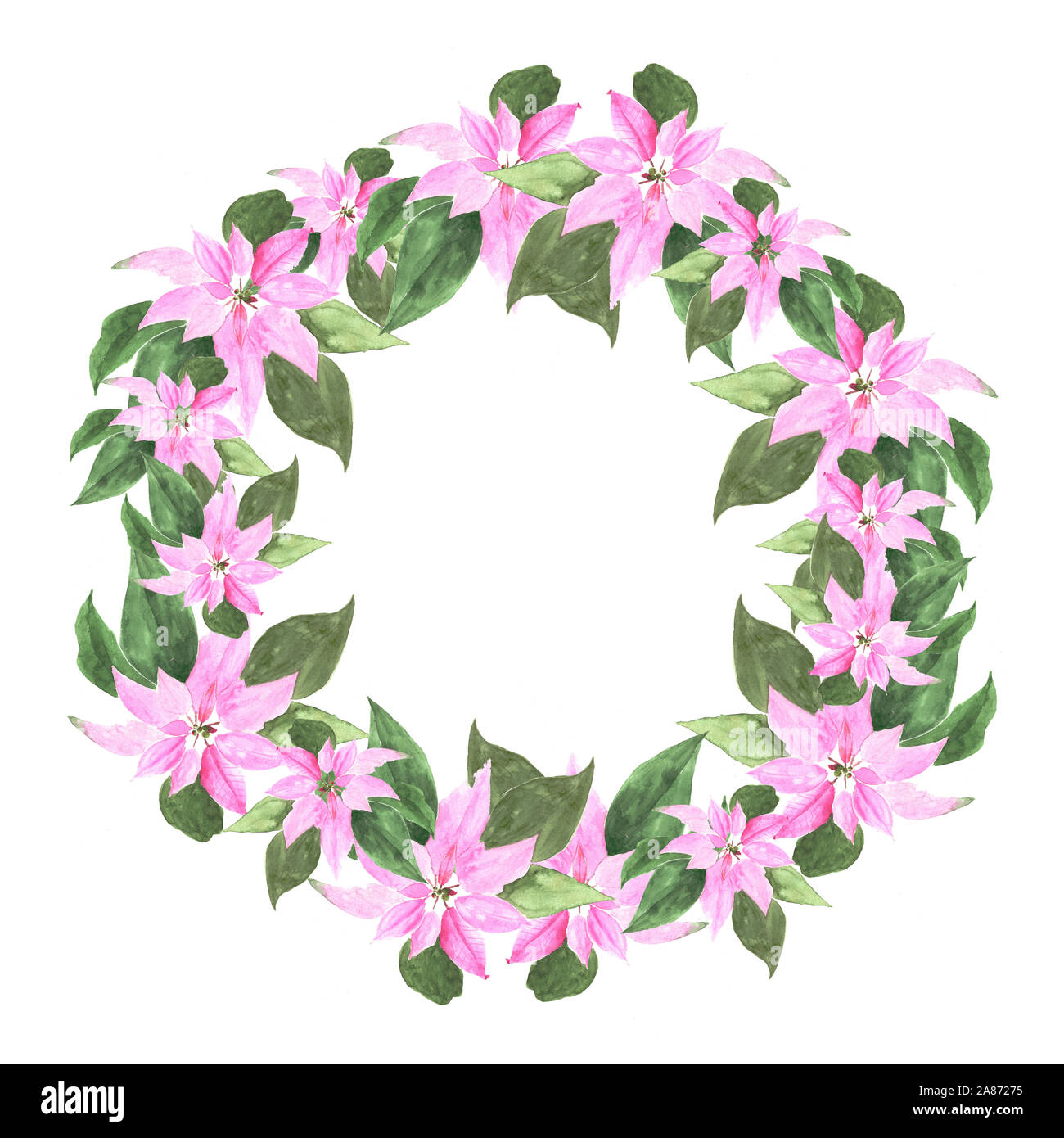 Hand drawn mistletoe plant Cut Out Stock Images & Pictures - Alamy