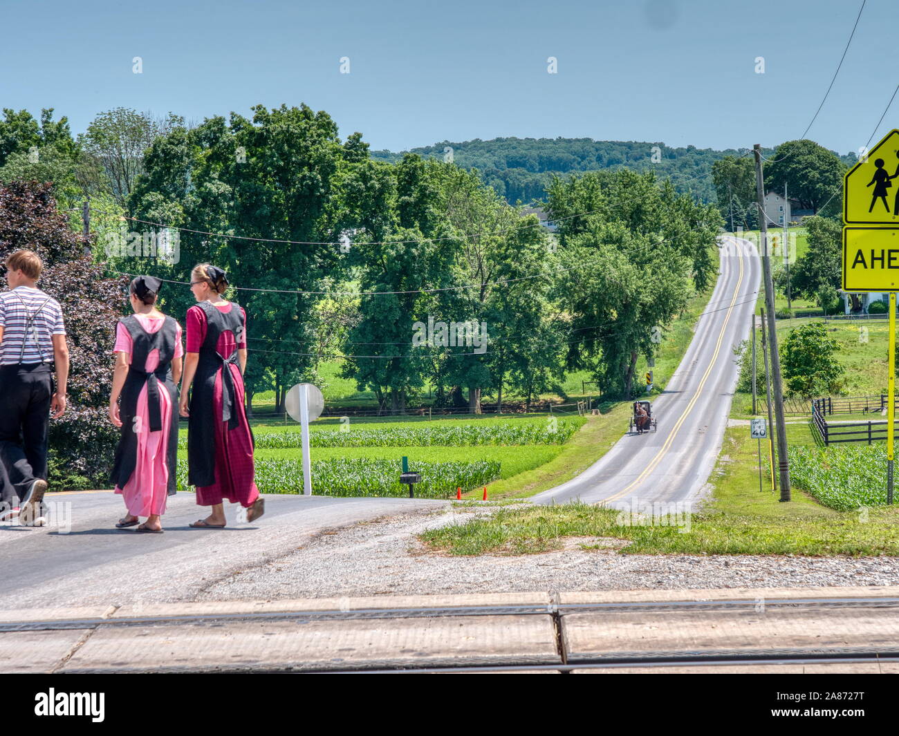 Amish Teenagers Walking Along Train Tracks with a Horse and Buggy ...