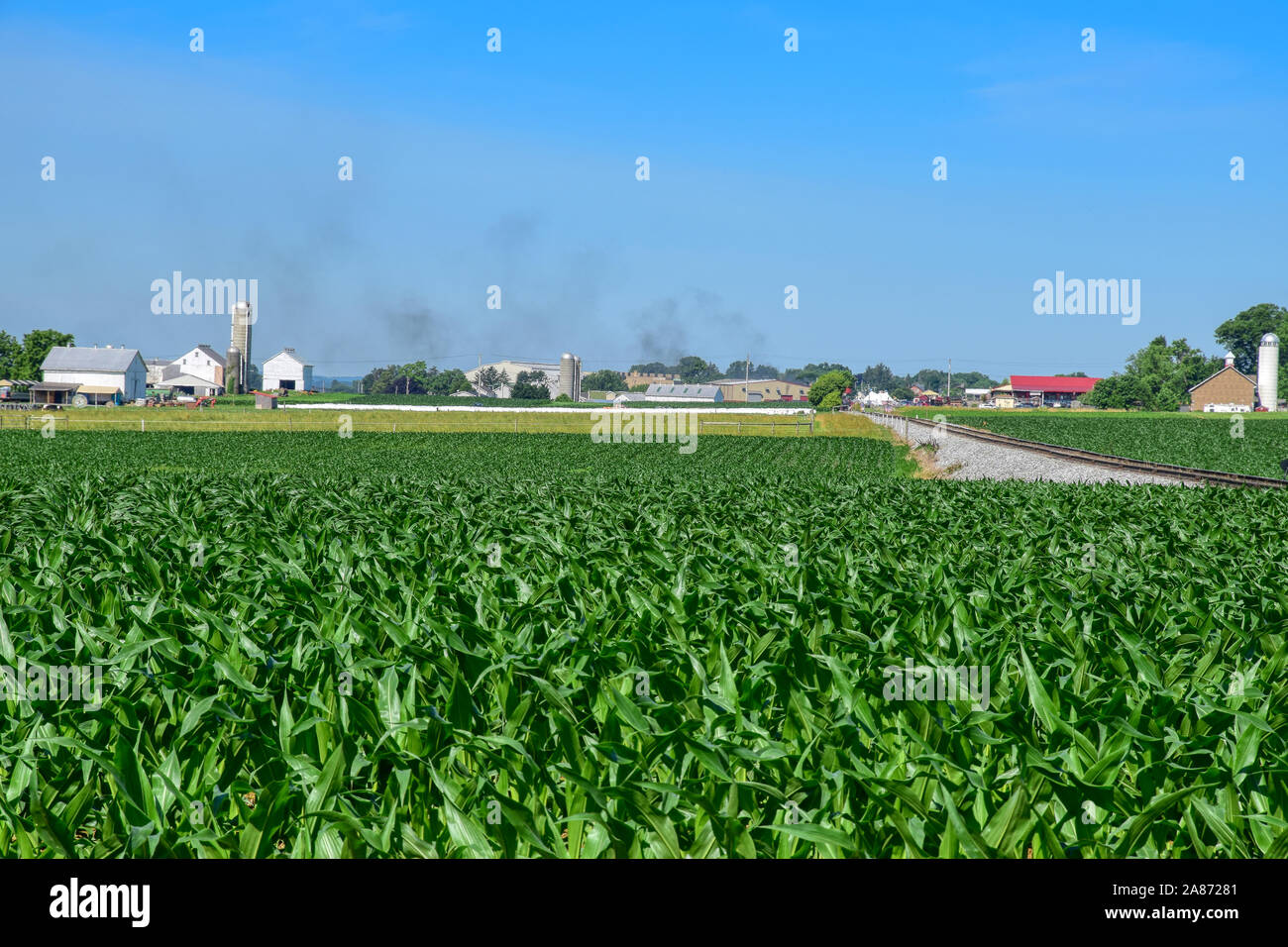 Aerial view corn fields fertile hi-res stock photography and images - Alamy
